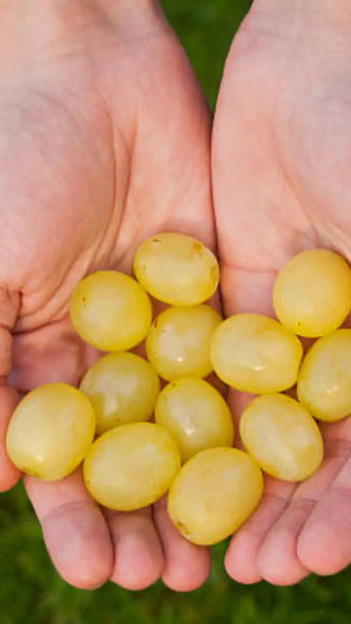 Grape 12s 12 Grapes Trend: Viral New Year's Eve Trend: Can Eating 12