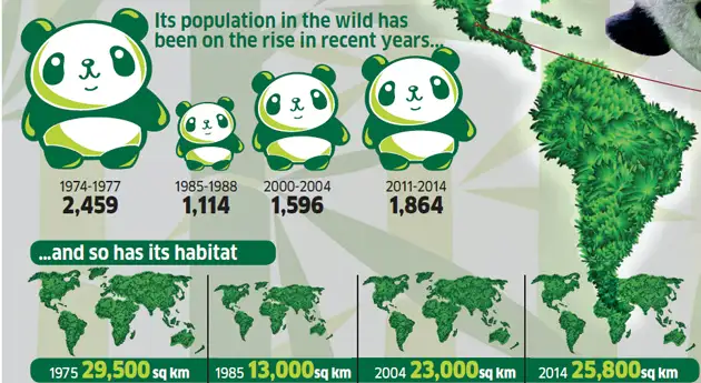 Panda: The story of Chinese Panda and its diplomatic strength - The ...