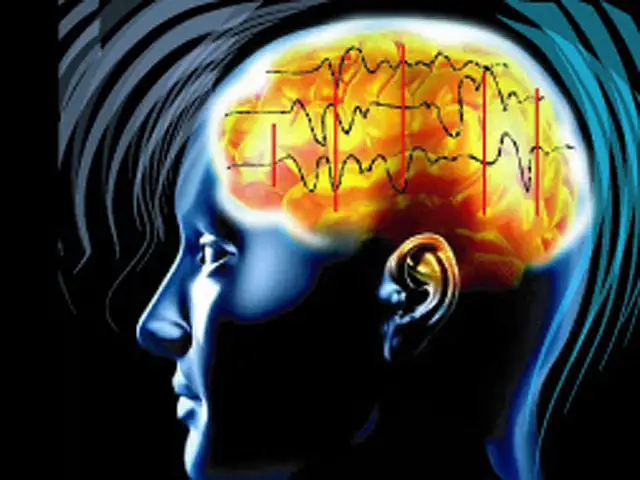 brawn: Brain over brawn? The selfish-brain prioritises its own energy ...