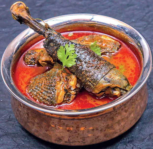 Kadaknath: How Kadaknath chicken from Naxal-hit Dantewada could be the ...