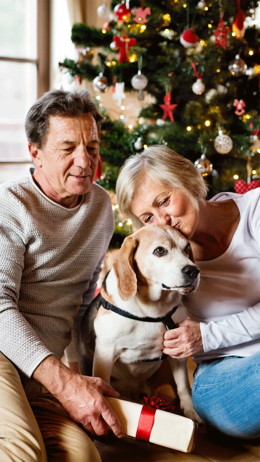 Financial Freedom Need For Health Insurance After Retirement
