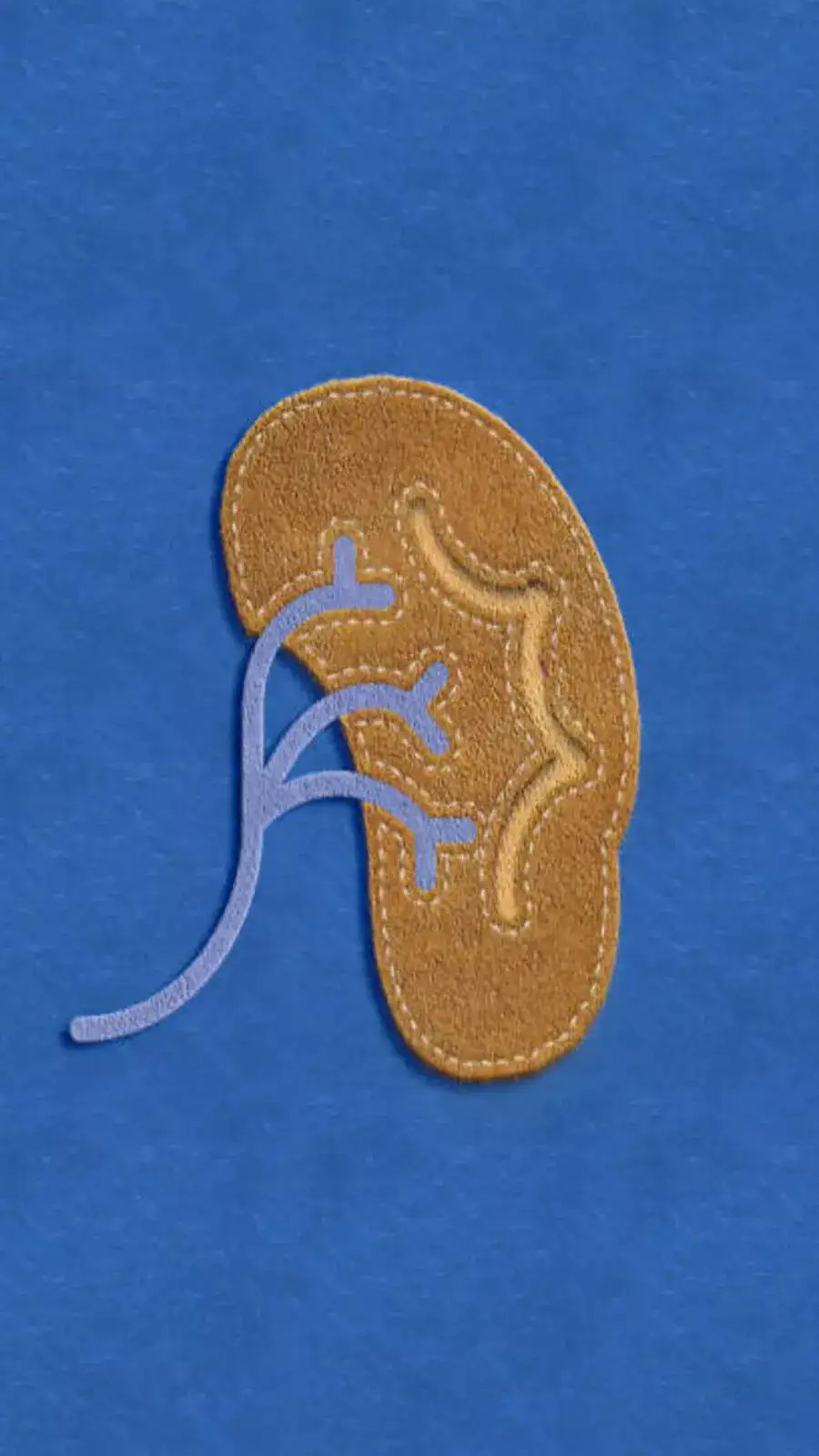 Embroidery Design Kidney Disease