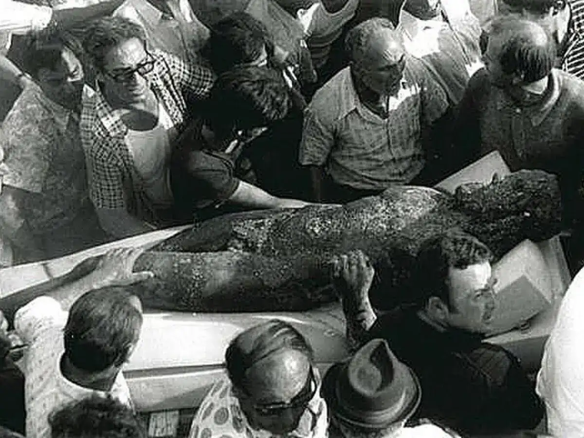 In 1972, a diver off Italy noticed a human arm rising…