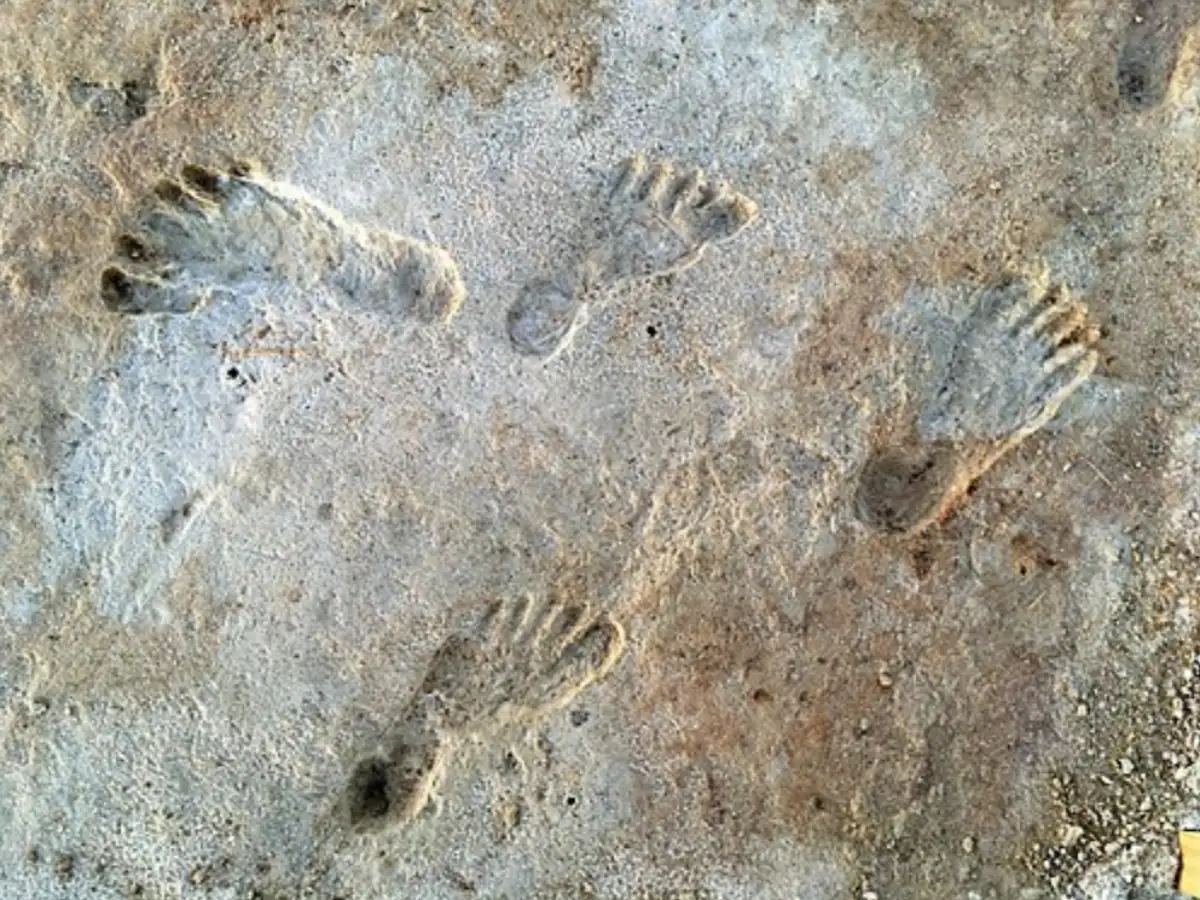 In 2021, a British geologist dated footprints at New…