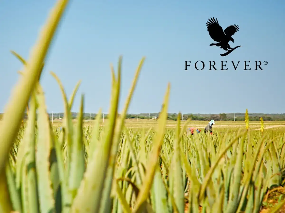 Exploring the legacy of Forever Living Products
