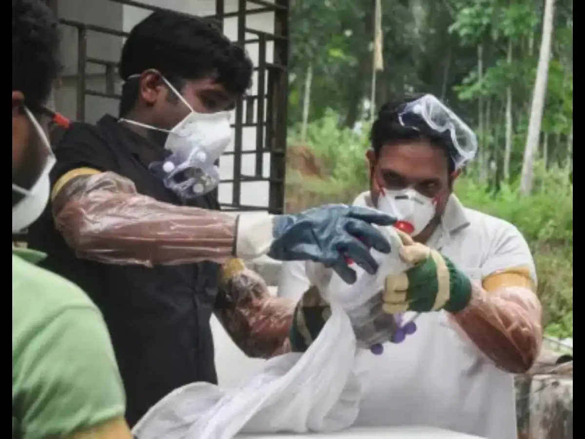 Kerala: Nipah patient's route map released; animal…