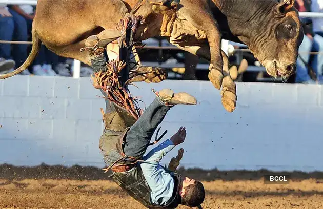 The abnormal normalisation of collision sports - The Economic Times