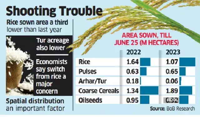 Economists concerned over lower rice acreage pushing up inflation - The ...