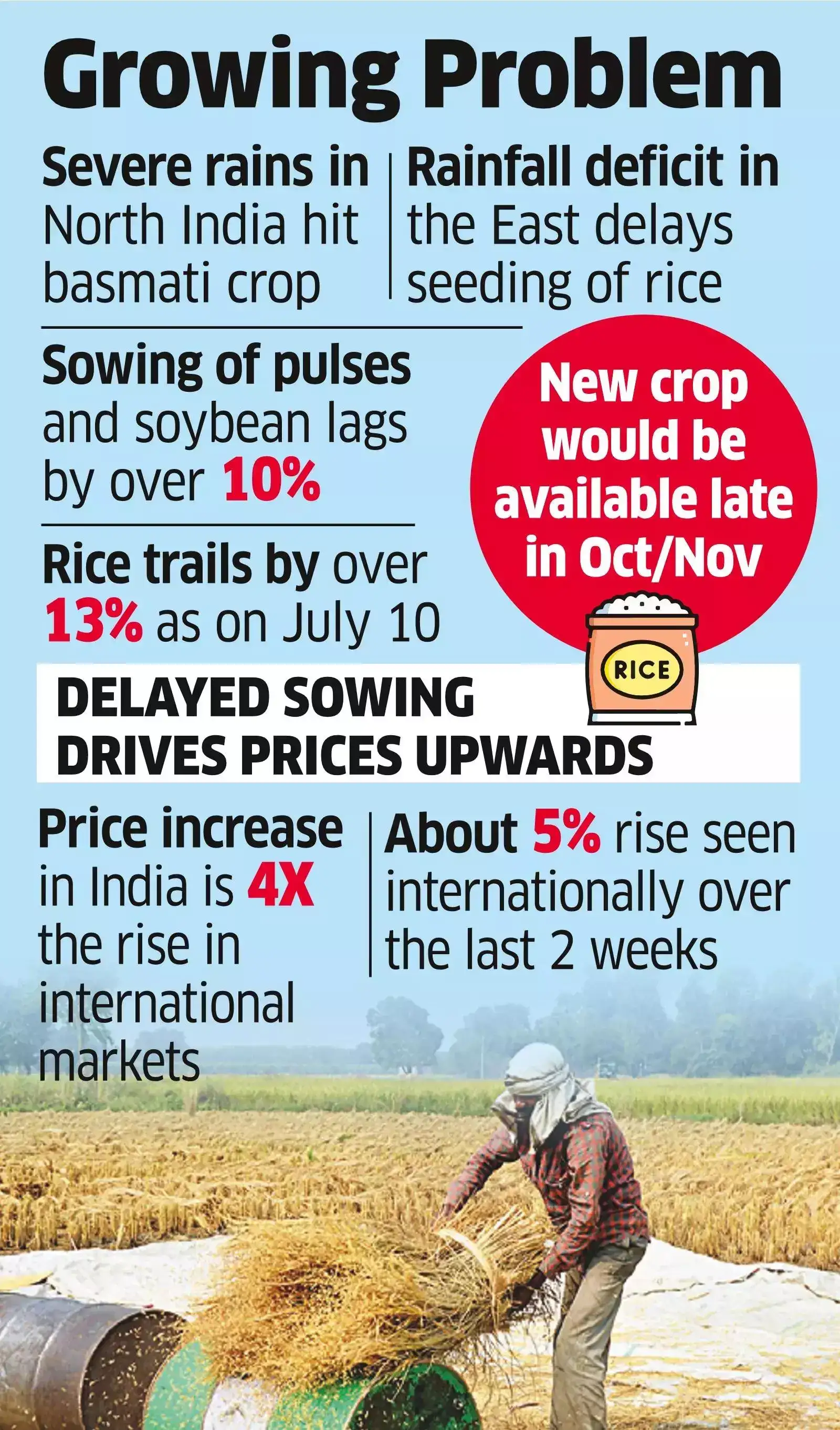 Erratic rain pushes rice prices up to 20% in last 10 days - The ...