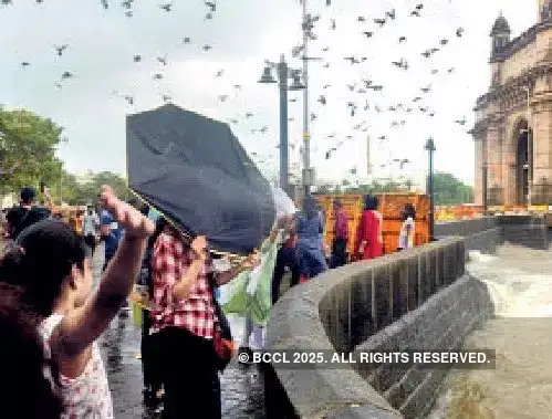 monsoons in India: A glimpse of monsoons in India - The Economic Times