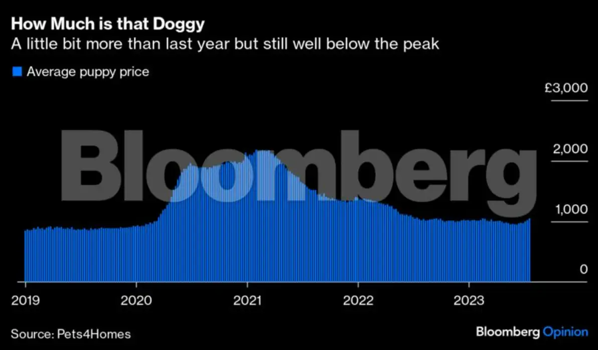 inflation: View: Puppies and Rolexes have had it tough since Covid ...