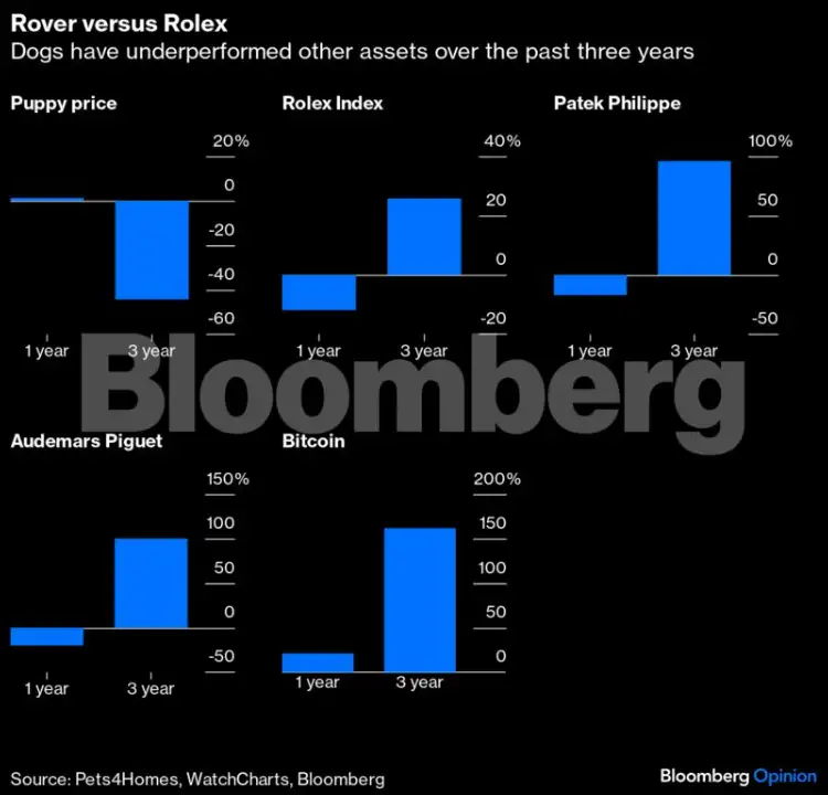 inflation: View: Puppies and Rolexes have had it tough since Covid ...