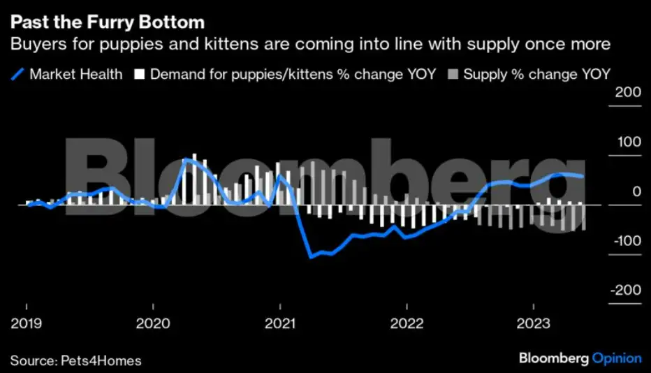 inflation: View: Puppies and Rolexes have had it tough since Covid ...