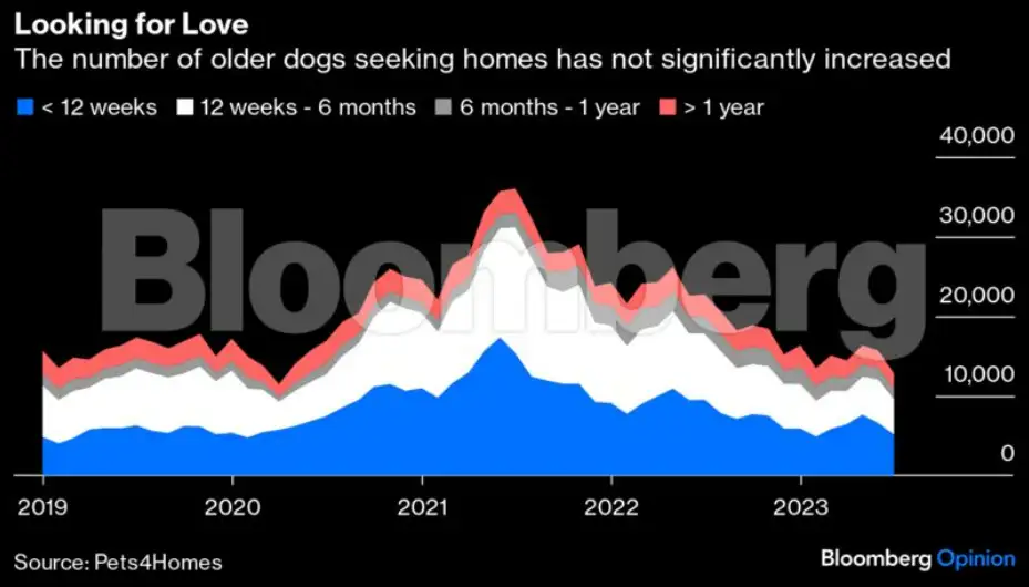 inflation: View: Puppies and Rolexes have had it tough since Covid ...