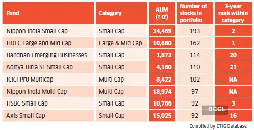 Nippon India Small Cap: Over-diversified mutual funds give good returns ...