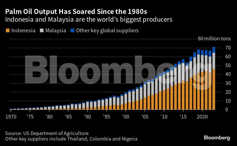 Aging trees show a crisis looms for the world’s everything oil - The ...