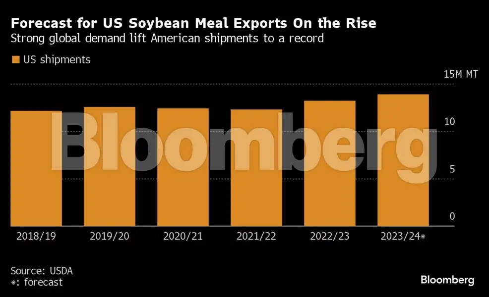 Biofuel boom to push US soy meal exports to record high - The Economic ...