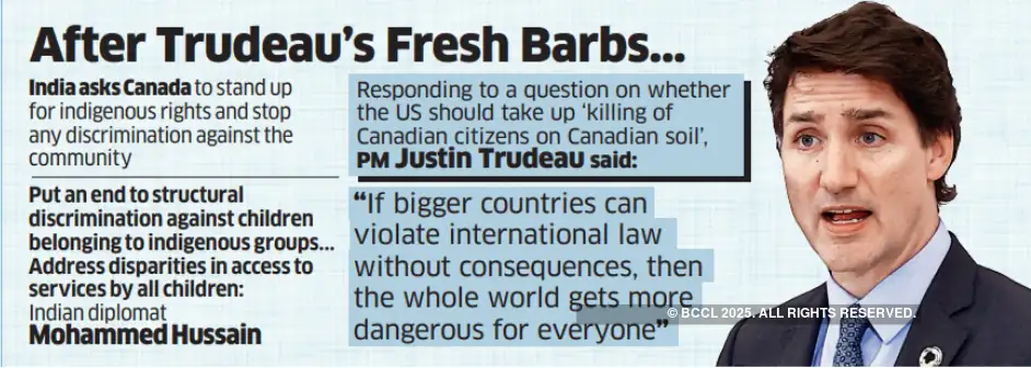 Stop freedom of expression's misuse: India to Canada - The Economic Times