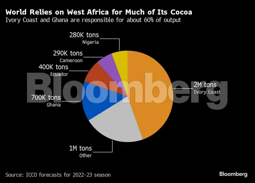 Chocolate prices are rising everywhere as cocoa rots in West Africa ...