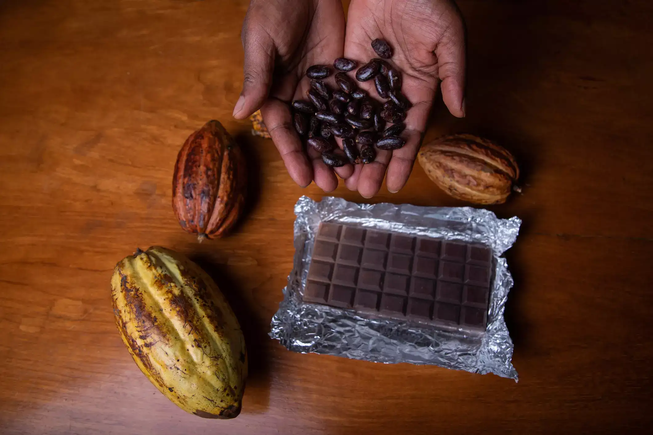 Chocolate prices are rising everywhere as cocoa rots in West Africa ...