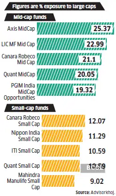 Mid-cap and small-cap mutual funds are trailing their benchmarks ...
