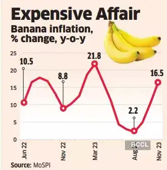 Going bananas: Prices rise to ₹30/kg from ₹18-20 in October - The ...