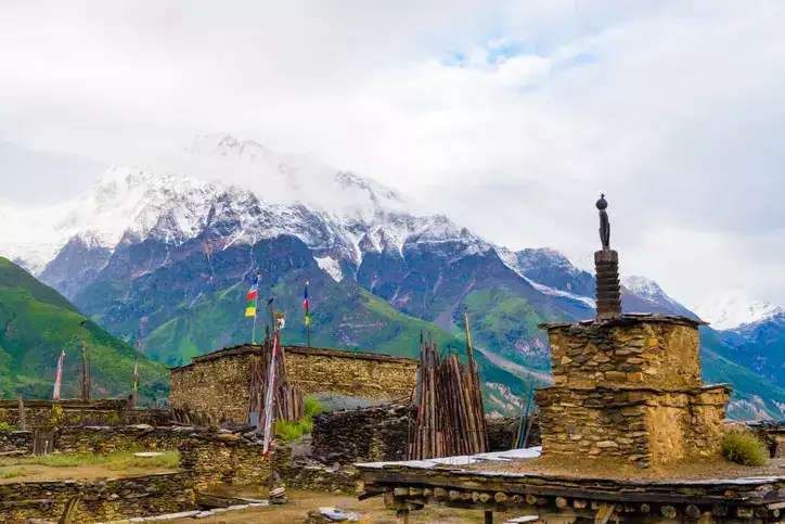 Makar Sankranti 2024: Makar Sankranti 2024: Uttaarayan, Pongal, and ...