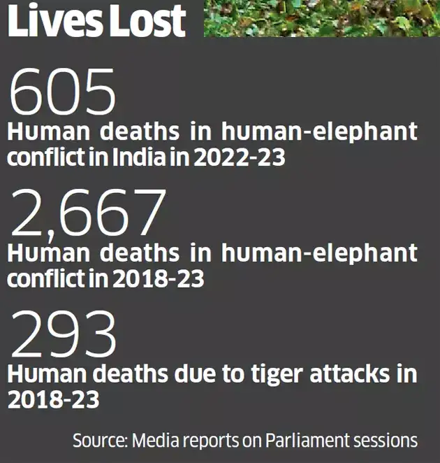 If you want to protect animals, you have to protect humans first ...