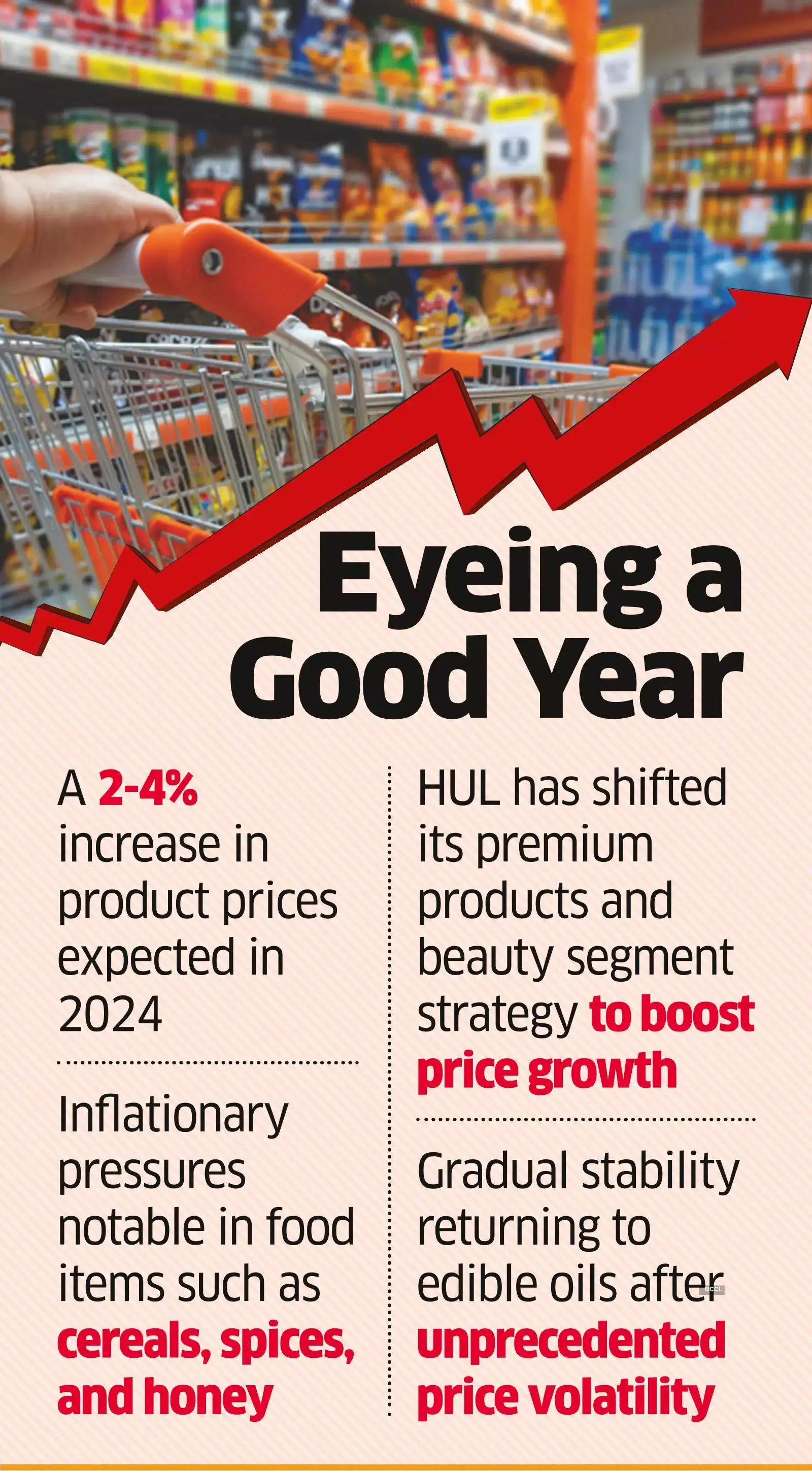 Consumer goods companies set to raise prices by 2-4% in 2024 - The ...