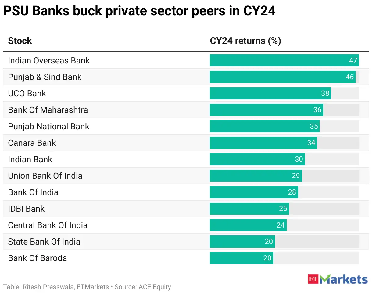 PSU bank stocks ride past private sector peers in 2024, but how long ...