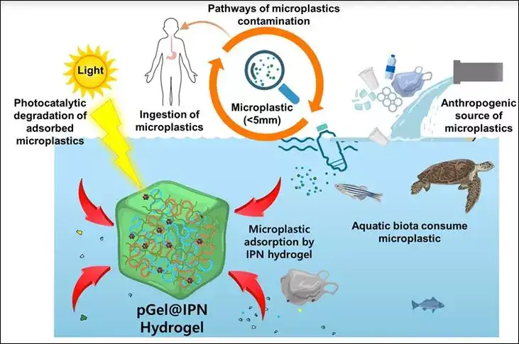 IISc researchers develop hydrogel that can remove microplastics from ...