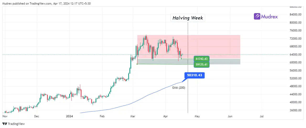 Bitcoin Halving: How does Bitcoin Halving impact the Bitcoin price ...
