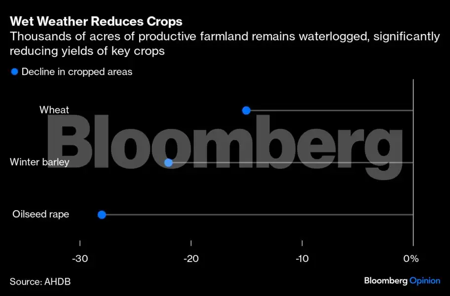 Say goodbye to potatoes being as cheap as chips - The Economic Times