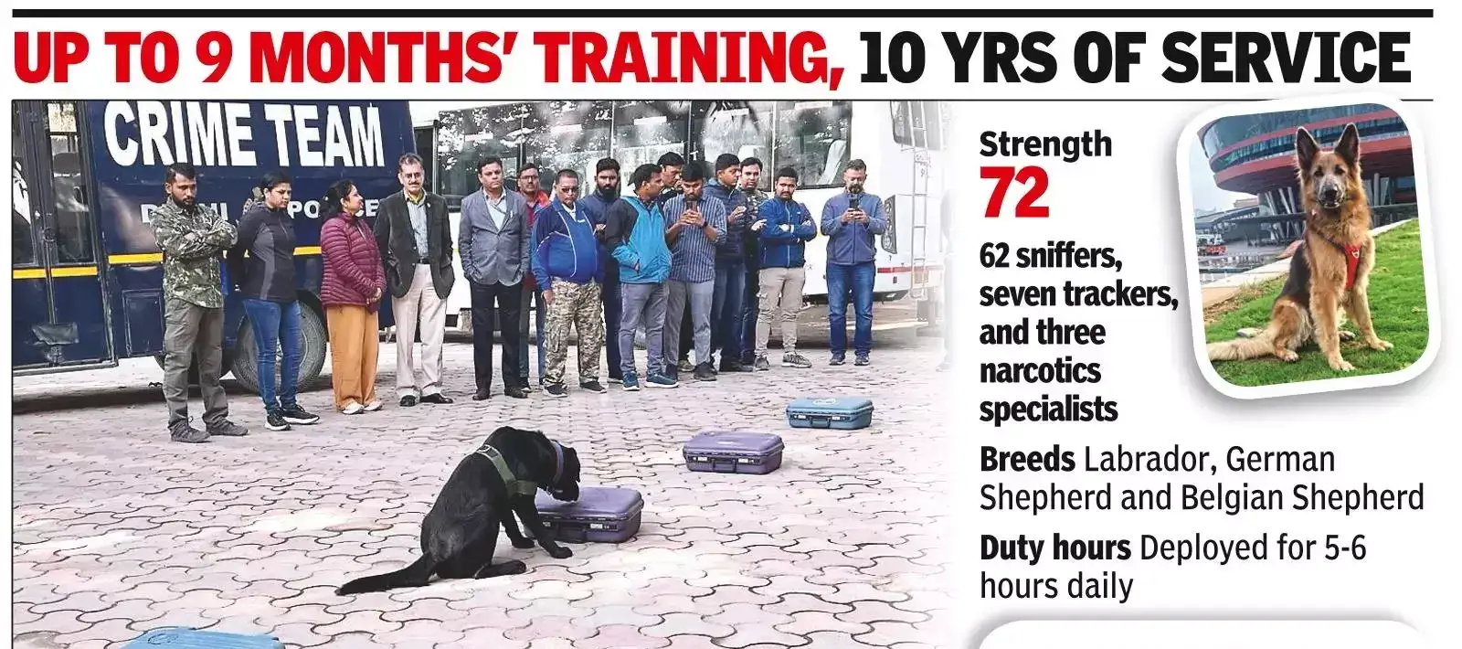 bomb threats: Sniffing Out Danger: How dogs are helping Delhi Police ...