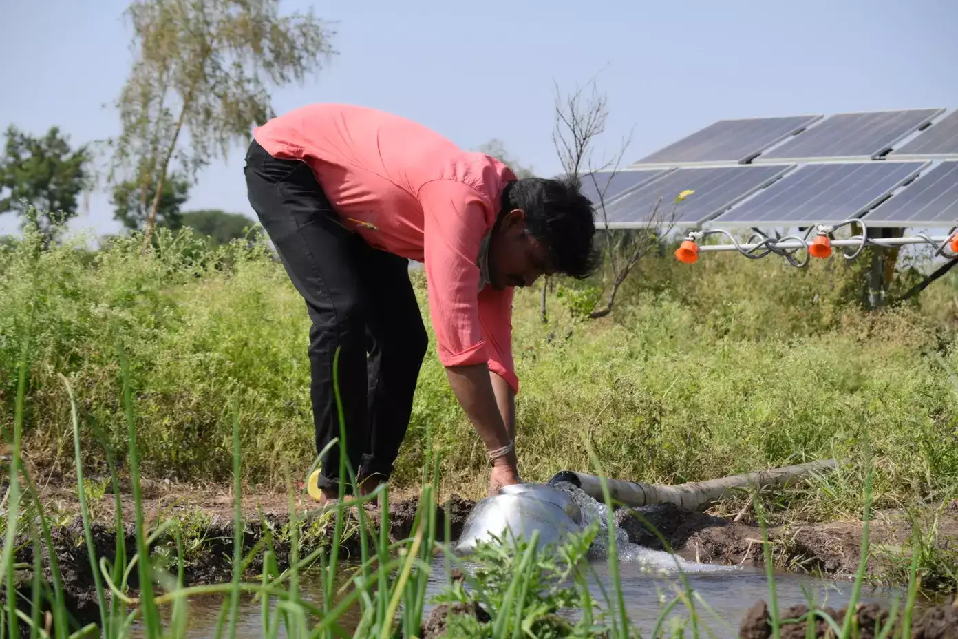 A cohesive ecosystem to support innovations for small and marginal ...