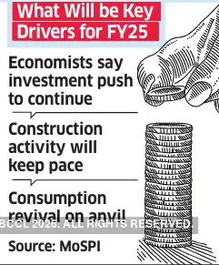 What drove growth in FY24 - The Economic Times