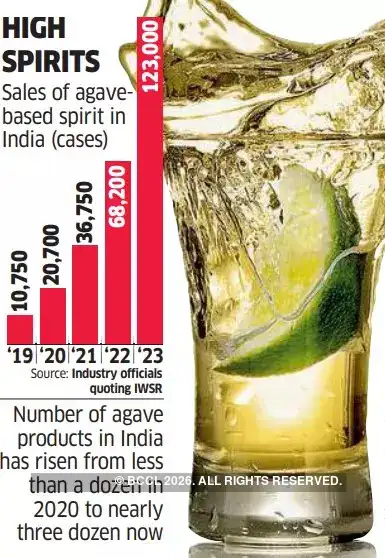 From party ender to party soul: Tequila now fastest-growing alcohol ...