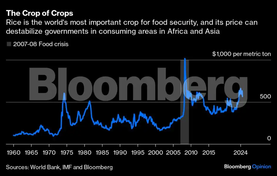 The rice price scare is over — Let’s learn the lessons - The Economic Times