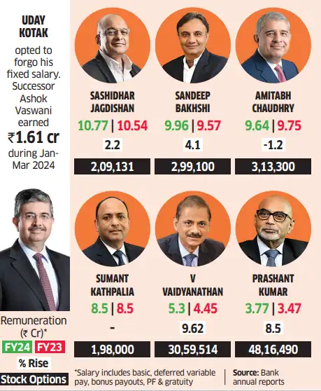 Private bank CEOs get a small raise - The Economic Times