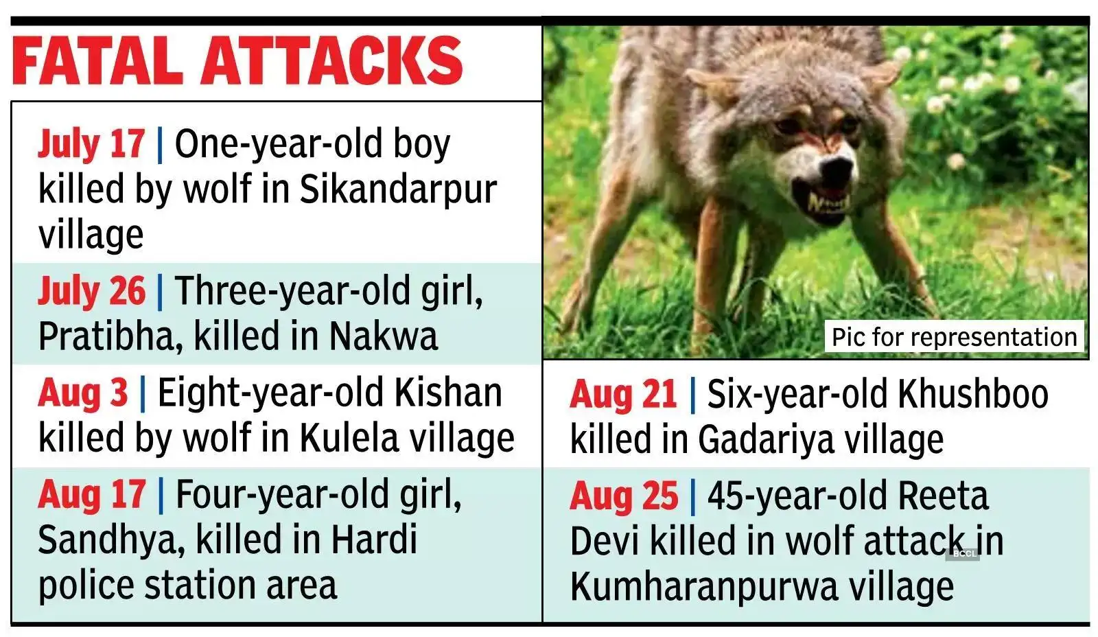 Man-eater wolves roaming in Uttar Pradesh: Six killed in a month ...