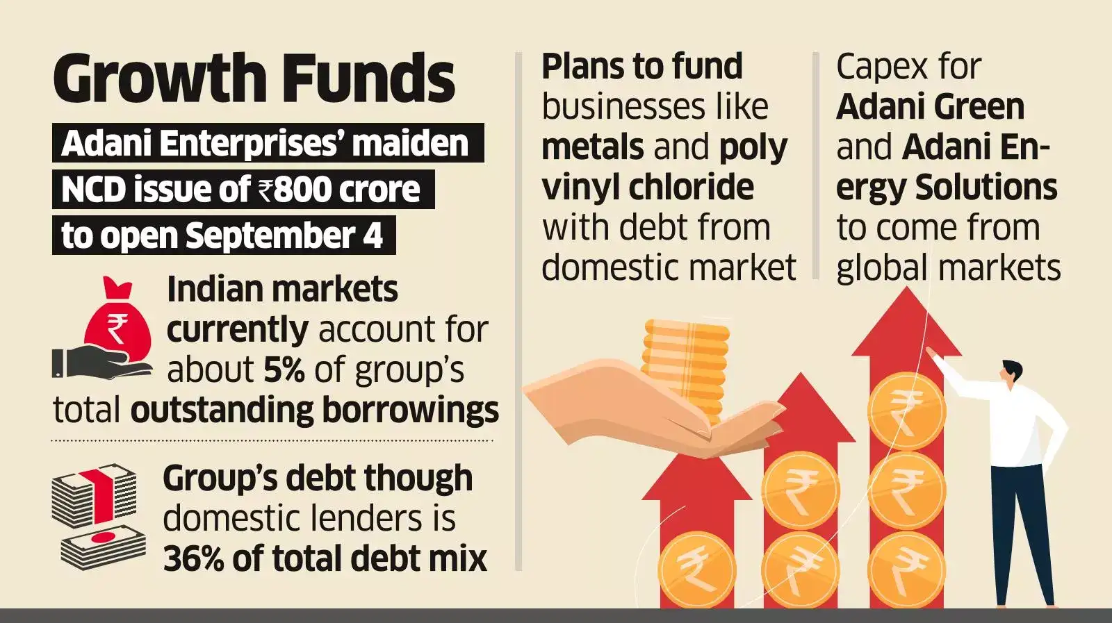 Adani Group: Adani Group can double local debt exposure: CFO - The ...
