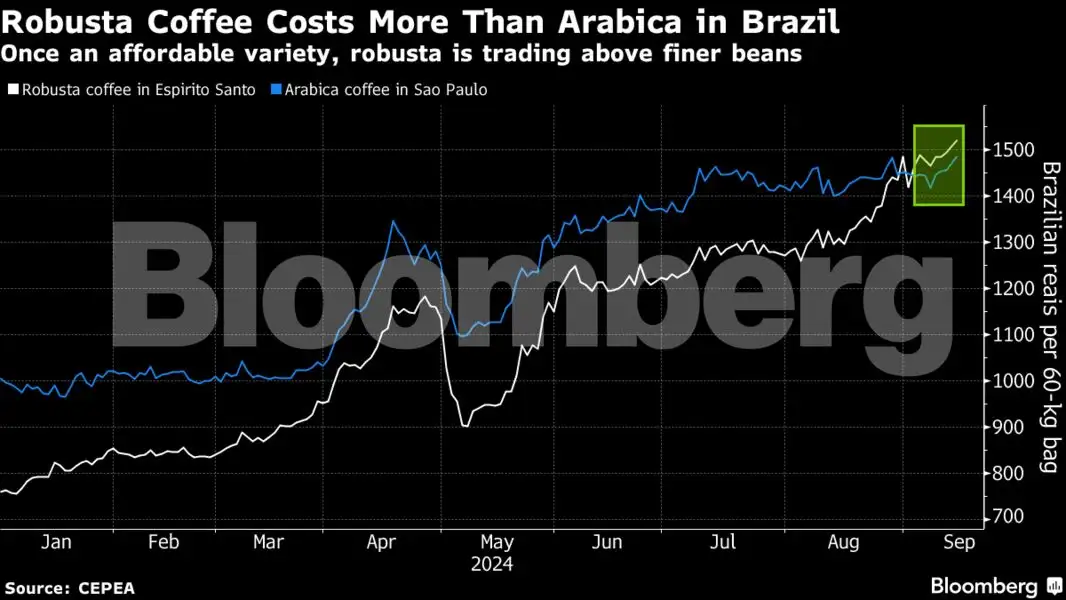 Brazil’s cheap coffee is now costlier than fancy Arabica - The Economic ...
