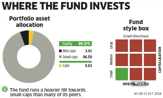 This equity small-cap fund has generated 30.3% returns in last 5 years ...