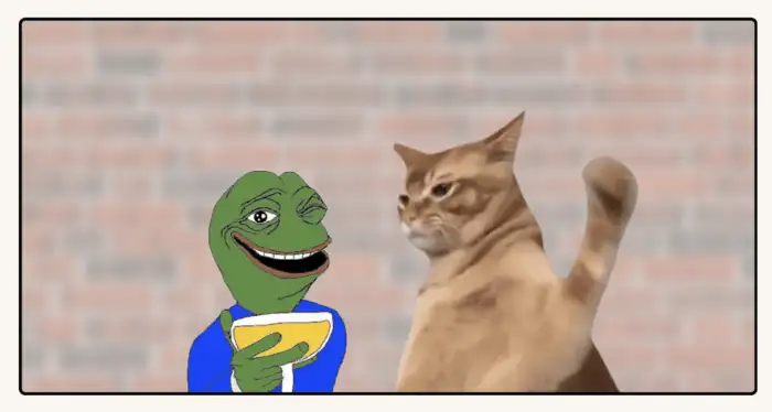 For those looking to join the bandwagon of the cat-themed meme coin ...