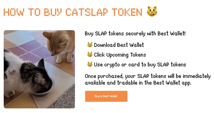 For those looking to join the bandwagon of the cat-themed meme coin ...
