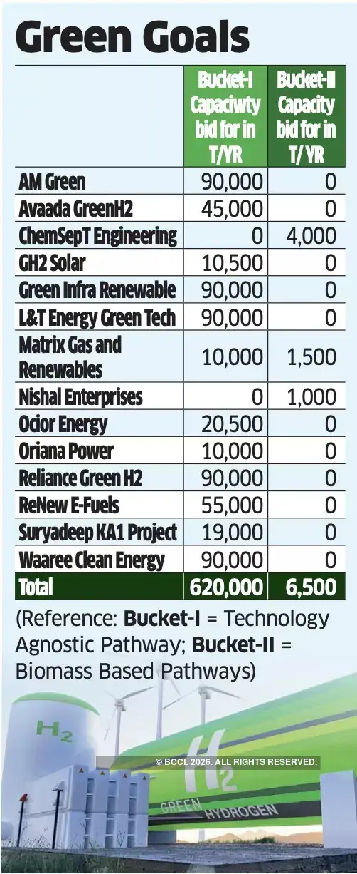 Reliance, Waaree, ReNew, Avaada among 14 cos to bid for tranche-II of ...