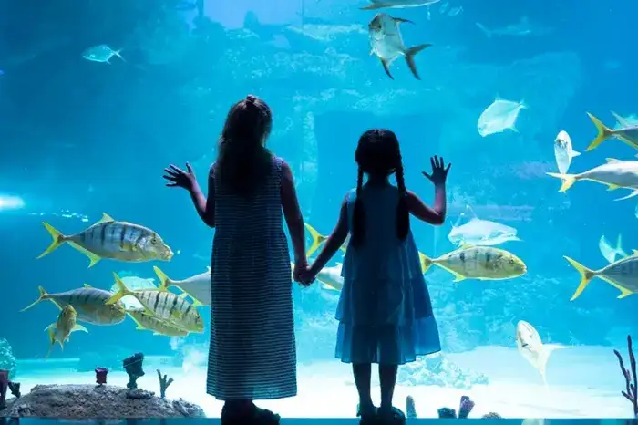 Why Moscow is the ultimate go-to destination for family adventures with ...