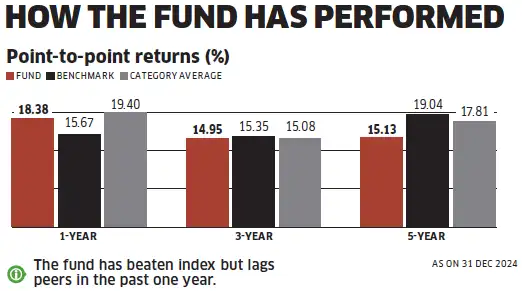 DSP Focus Fund review: Outsized positions on specific ideas, patchy ...