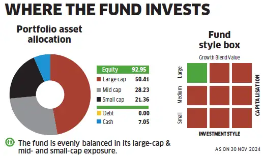 DSP Focus Fund review: Outsized positions on specific ideas, patchy ...