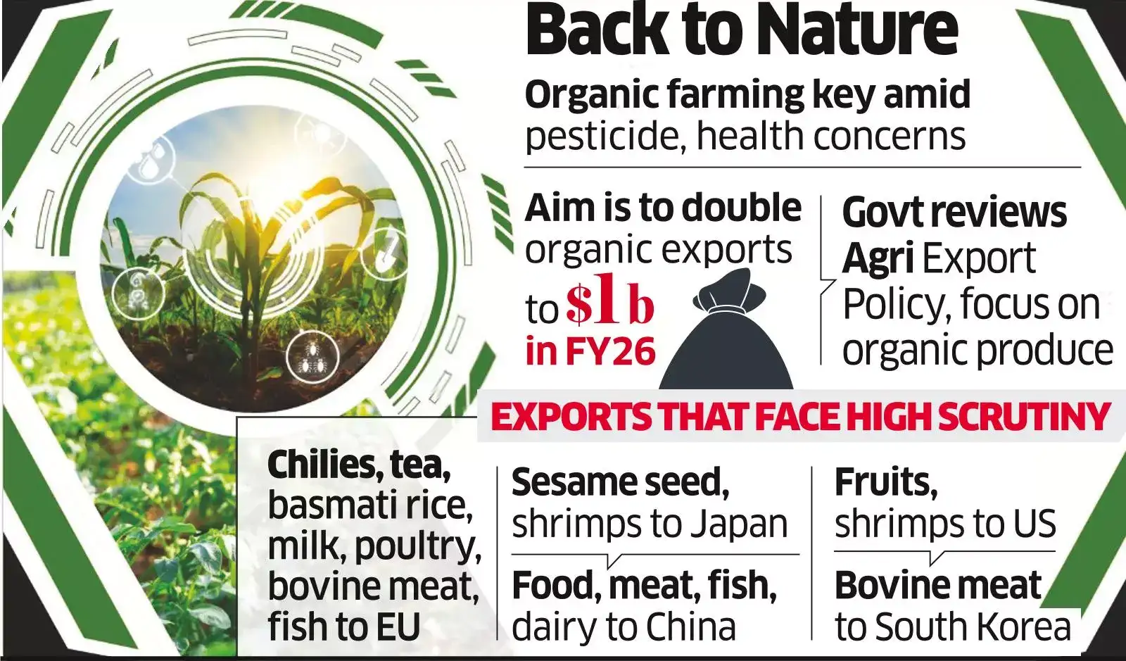 Budget 2025: Sops in works for organic farming to double exports - The ...